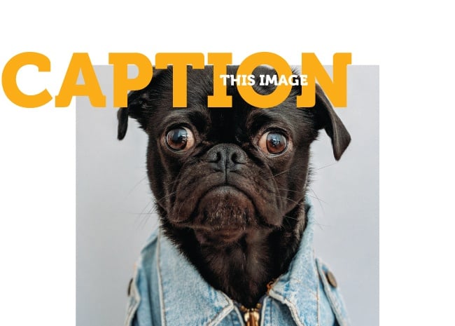 6 Tips for SEO Image Optimization