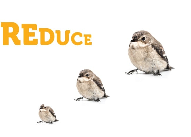 6 Tips for SEO Image Optimization