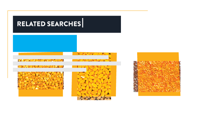 How to Build a Seed List for Keyword Research
