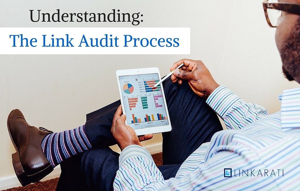 Understanding The Link Audit Process
