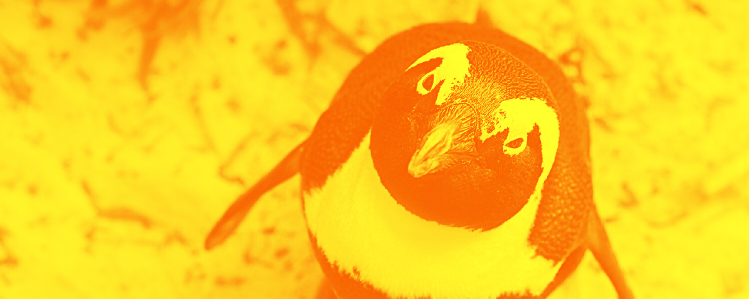 Google Penguin Algorithm Update and Explanation | Page One Power